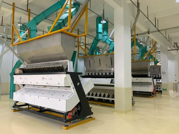 玉米面粉加工设备多少钱一套_玉米面粉加工设备哪家好-第2张图片-山城妙识