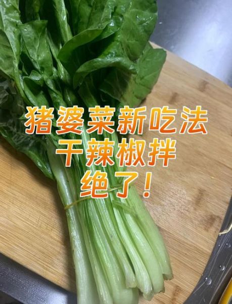 猪婆菜的功效与作用_猪婆菜怎么做好吃-第1张图片-山城妙识