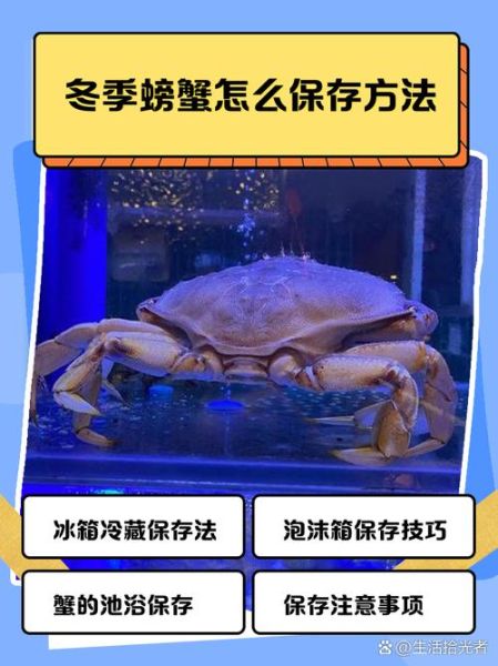 螃蟹怎么保存放冰箱_活螃蟹能冷藏多久-第2张图片-山城妙识