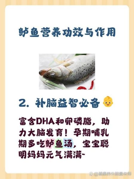 孩子吃鲈鱼有什么好处_鲈鱼的营养价值及功效-第2张图片-山城妙识