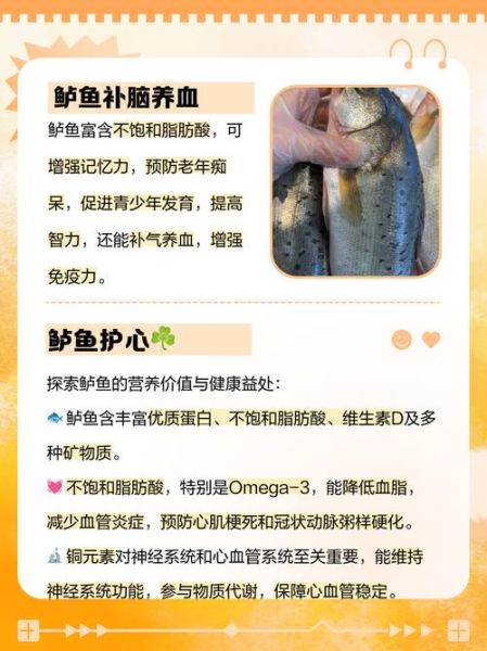 孩子吃鲈鱼有什么好处_鲈鱼的营养价值及功效-第3张图片-山城妙识