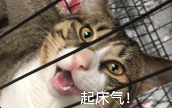 年糕君g是谁_年糕君g作品有哪些-第3张图片-山城妙识 年糕君g是谁_年糕君g作品有哪些-第3张图片-山城妙识