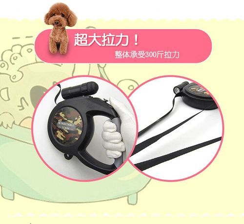 毛毛虫菠萝在线观看_哪里能免费看完整版-第1张图片-山城妙识