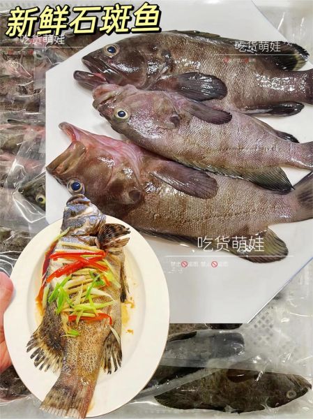 石斑鱼怎么蒸_石斑鱼蒸多久才嫩-第3张图片-山城妙识