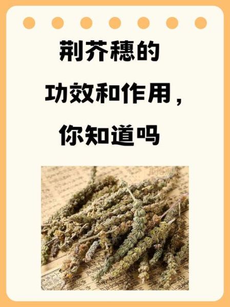 荆芥穗的功效与作用_荆芥穗主治哪些疾病-第1张图片-山城妙识 荆芥穗的功效与作用_荆芥穗主治哪些疾病-第1张图片-山城妙识
