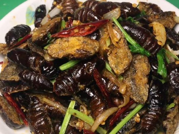 蚕蛹怎么做好吃_家庭版蚕蛹做法-第2张图片-山城妙识