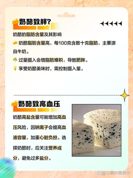 奶酪的营养价值有哪些_奶酪吃多了有什么副作用-第2张图片-山城妙识