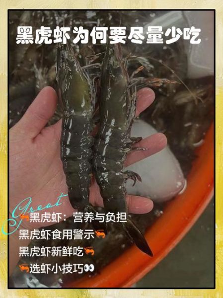 黑虎虾为什么那么便宜_黑虎虾低价原因-第2张图片-山城妙识 黑虎虾为什么那么便宜_黑虎虾低价原因-第2张图片-山城妙识