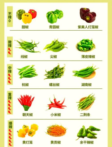 辣椒图片大全_如何识别不同品种-第1张图片-山城妙识