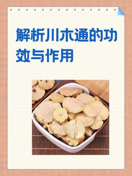 木通的功效与作用_木通能治哪些病-第3张图片-山城妙识