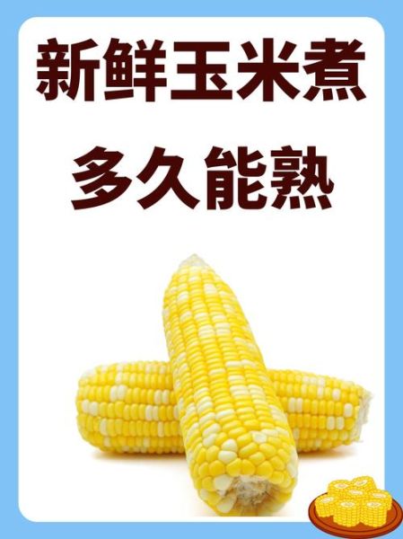 怎么煮玉米好吃又简单_玉米煮多久才香甜-第1张图片-山城妙识