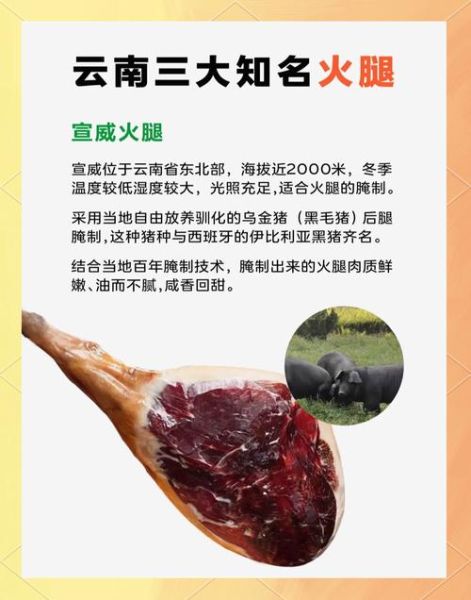 3年宣威火腿多少钱一斤_宣威火腿价格行情-第1张图片-山城妙识
