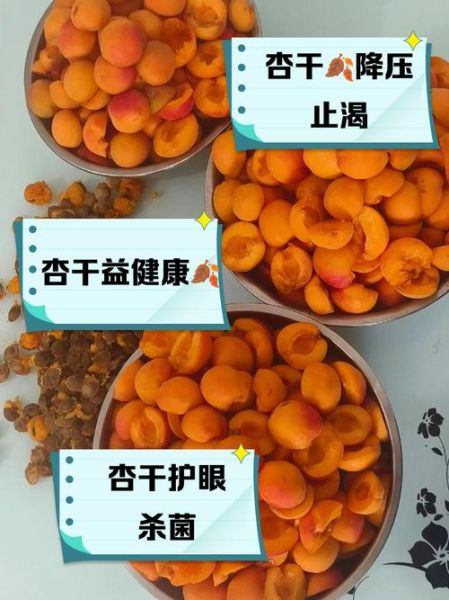 杏干的功效与作用及禁忌_什么人不能吃杏干-第1张图片-山城妙识 杏干的功效与作用及禁忌_什么人不能吃杏干-第1张图片-山城妙识