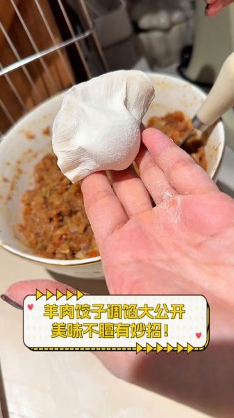 羊肉饺子馅怎么调_羊肉饺子馅放什么去膻-第3张图片-山城妙识 羊肉饺子馅怎么调_羊肉饺子馅放什么去膻-第3张图片-山城妙识