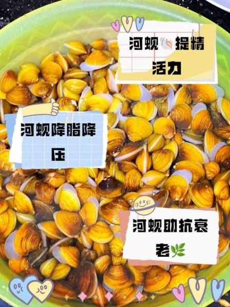 河蚬怎么读_河蚬的读音和营养价值-第3张图片-山城妙识