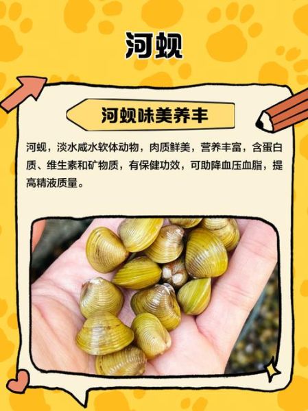 河蚬怎么读_河蚬的读音和营养价值-第1张图片-山城妙识