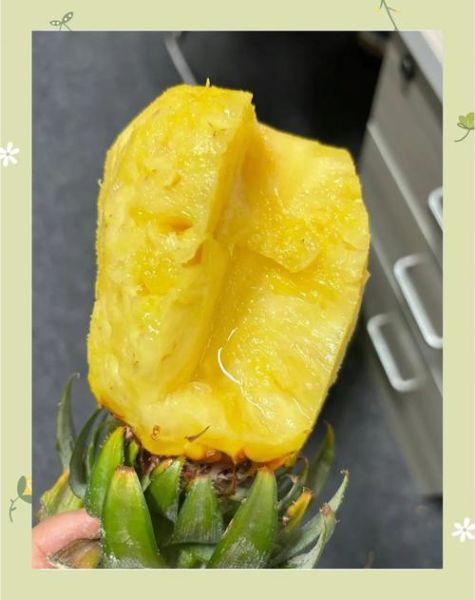 菠萝可以减肥吗_菠萝减肥的正确吃法-第1张图片-山城妙识 菠萝可以减肥吗_菠萝减肥的正确吃法-第1张图片-山城妙识