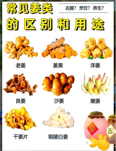 姜的品种大全图解_生姜种类有哪些-第1张图片-山城妙识