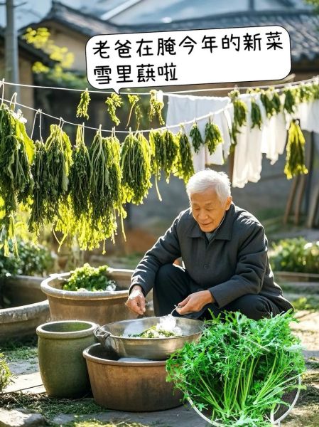 雪里蕻不腌能吃吗_雪里蕻生吃安全吗-第1张图片-山城妙识