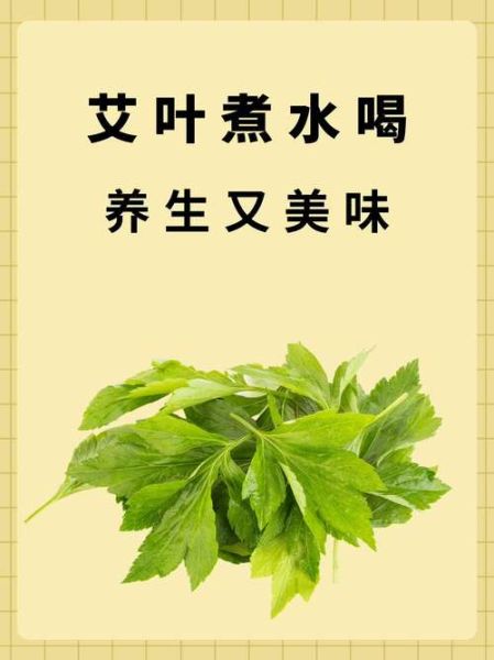 干艾叶熬水喝的功效_干艾叶水能天天喝吗-第2张图片-山城妙识
