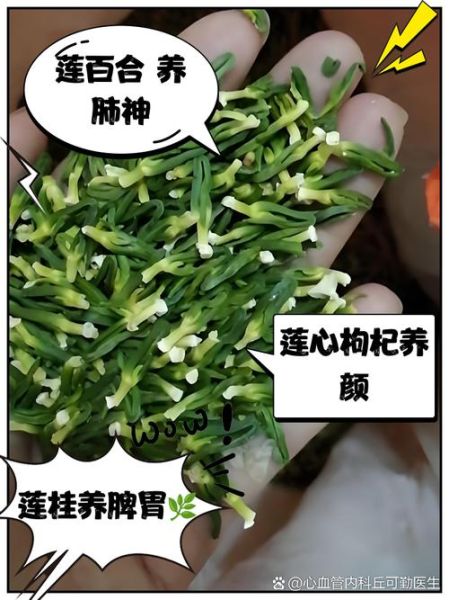 莲子心最佳配伍_莲子心和什么搭配不上火-第3张图片-山城妙识
