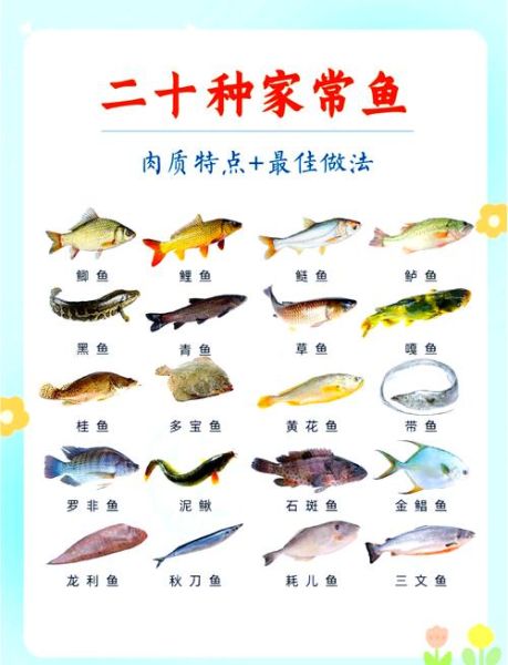 草鲤鱼怎么做好吃_草鲤鱼做法大全-第2张图片-山城妙识 草鲤鱼怎么做好吃_草鲤鱼做法大全-第2张图片-山城妙识