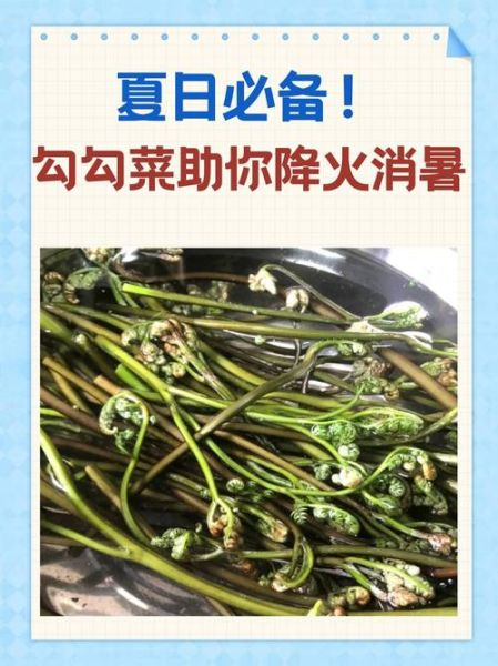 吃什么蔬菜去火最快_哪些蔬菜降火效果好-第1张图片-山城妙识