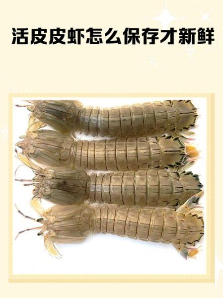 皮皮虾怎么处理_皮皮虾怎么清洗才干净-第3张图片-山城妙识