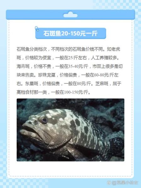 石斑鱼图片_石斑鱼价格多少钱一斤-第1张图片-山城妙识