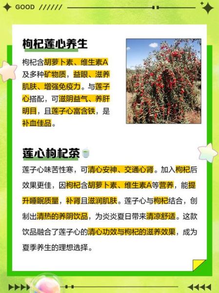 莲子心配枸杞的功效与禁忌_莲子心枸杞泡水正确方法-第3张图片-山城妙识
