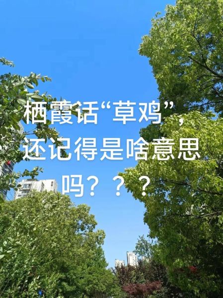 草鸡是什么意思_草鸡是哪里的方言-第3张图片-山城妙识