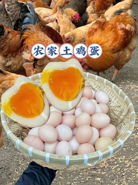 土鸡蛋可以生吃吗_生吃土鸡蛋安全吗-第1张图片-山城妙识 土鸡蛋可以生吃吗_生吃土鸡蛋安全吗-第1张图片-山城妙识