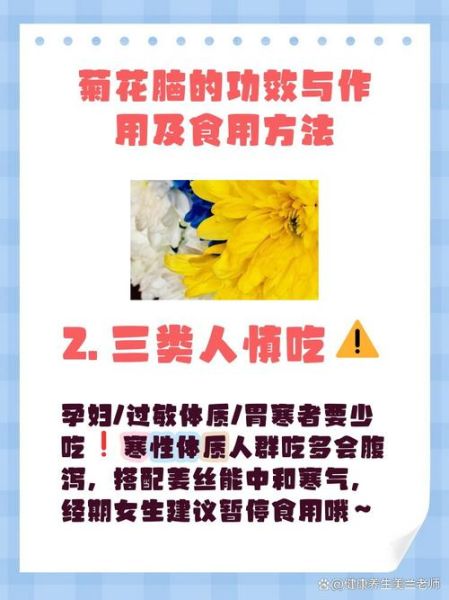 菊花脑的副作用有哪些_菊花脑吃多了会怎样-第1张图片-山城妙识