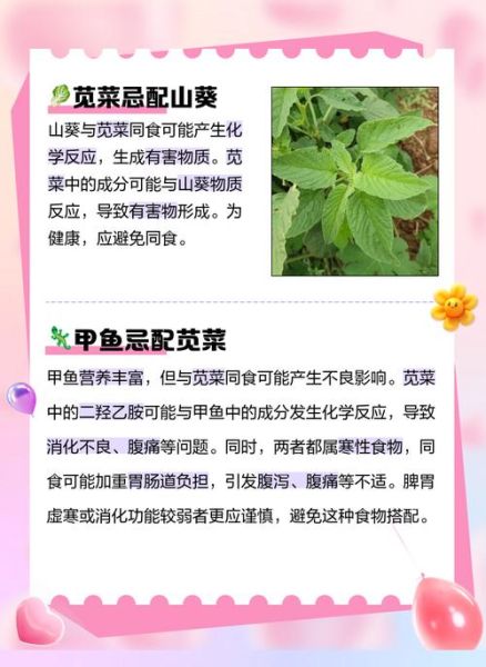红苋菜不能和什么一起吃_红苋菜相克食物有哪些-第1张图片-山城妙识