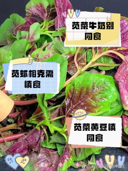 红苋菜不能和什么一起吃_红苋菜相克食物有哪些-第2张图片-山城妙识
