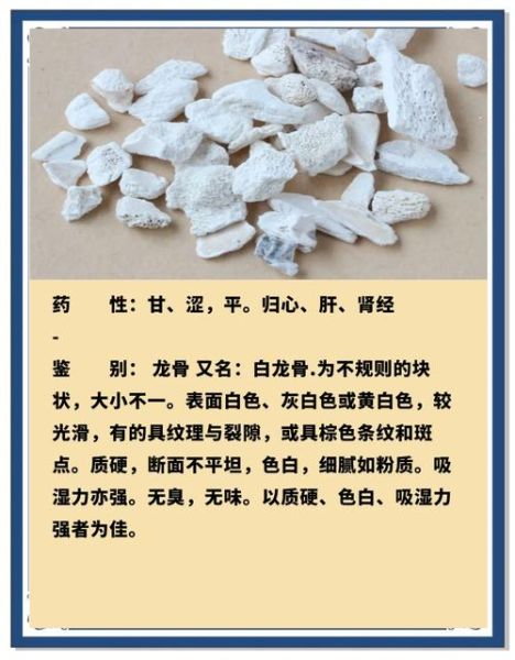 龙骨是哪个部位_龙骨在中医里指什么-第3张图片-山城妙识 龙骨是哪个部位_龙骨在中医里指什么-第3张图片-山城妙识