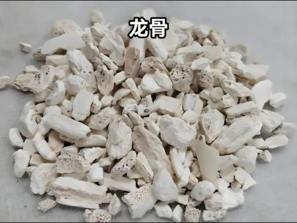 龙骨是哪个部位_龙骨在中医里指什么-第1张图片-山城妙识 龙骨是哪个部位_龙骨在中医里指什么-第1张图片-山城妙识