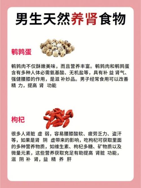 男人吃什么快速补肾_肾虚吃什么食物补得快-第3张图片-山城妙识