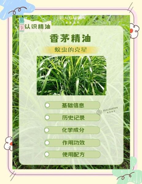 香茅精油驱蚊有用吗_香茅精油怎么使用驱蚊-第1张图片-山城妙识