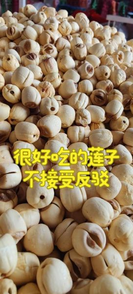 莲子怎么吃比较好_莲子怎么煮最营养-第1张图片-山城妙识 莲子怎么吃比较好_莲子怎么煮最营养-第1张图片-山城妙识