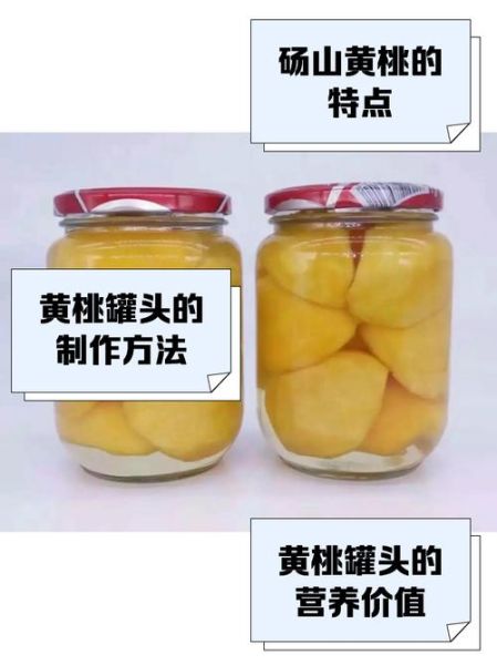 砀山黄桃罐头代理加盟多少钱_砀山黄桃罐头代理加盟流程-第1张图片-山城妙识