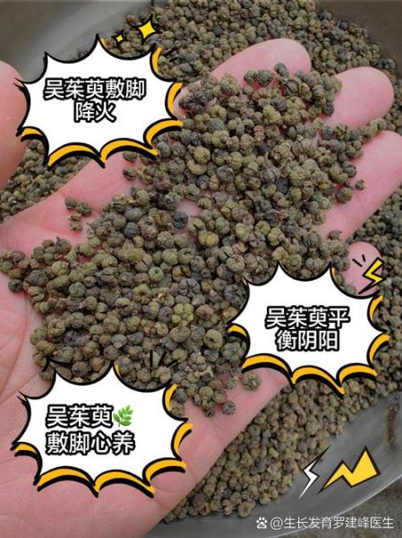 吴茱萸的功效与作用_吴茱萸的禁忌有哪些-第3张图片-山城妙识 吴茱萸的功效与作用_吴茱萸的禁忌有哪些-第3张图片-山城妙识
