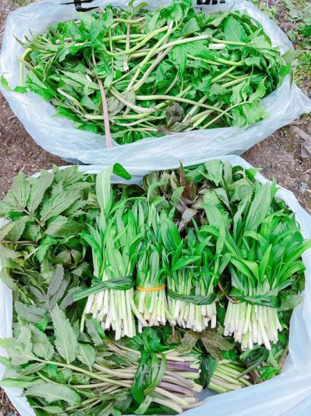 小雪节气吃什么蔬菜_小雪养生蔬菜推荐-第1张图片-山城妙识 小雪节气吃什么蔬菜_小雪养生蔬菜推荐-第1张图片-山城妙识