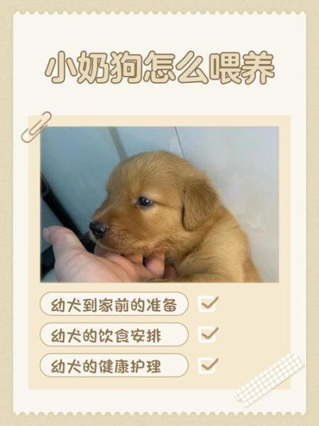 小奶狗app福引导怎么用_小奶狗app福引导安全吗-第1张图片-山城妙识 小奶狗app福引导怎么用_小奶狗app福引导安全吗-第1张图片-山城妙识