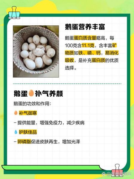 鹅蛋怎么挑选_鹅蛋营养价值高吗-第3张图片-山城妙识