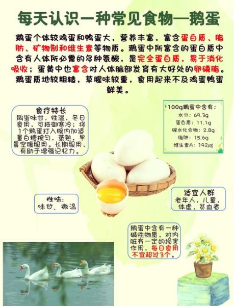鹅蛋怎么挑选_鹅蛋营养价值高吗-第1张图片-山城妙识