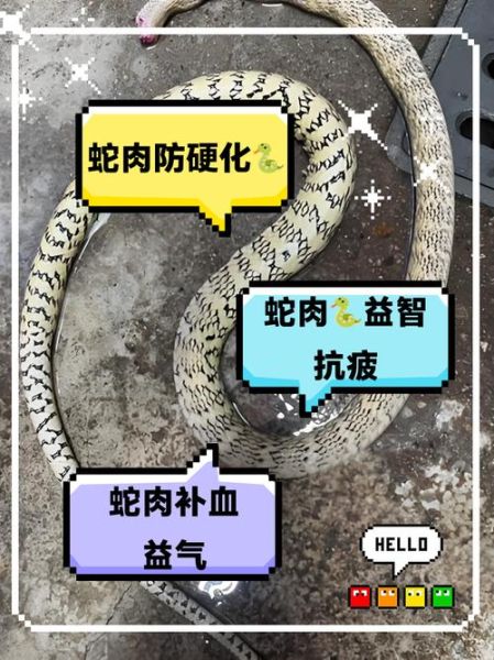 蛇肉吃了对身体有什么好处_蛇肉营养价值与功效-第3张图片-山城妙识