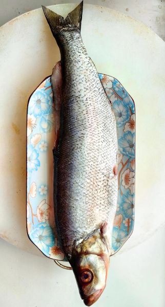 翘嘴鱼怎么做好吃_翘嘴鱼的家常做法大全-第1张图片-山城妙识