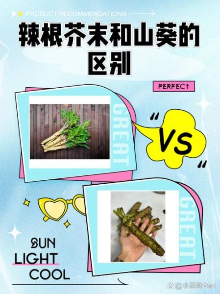 辣根是什么做的_辣根和芥末区别-第2张图片-山城妙识 辣根是什么做的_辣根和芥末区别-第2张图片-山城妙识