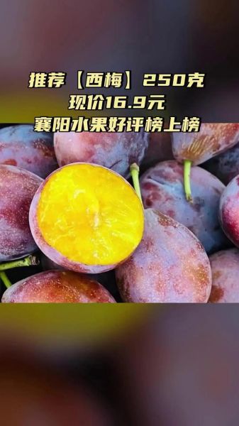 西梅app是什么_西梅app怎么用-第2张图片-山城妙识